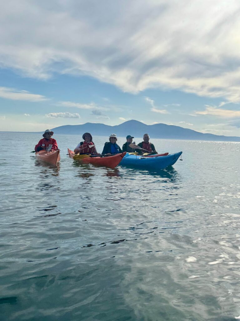 Kayaking - Strangford Lough Activity Centre